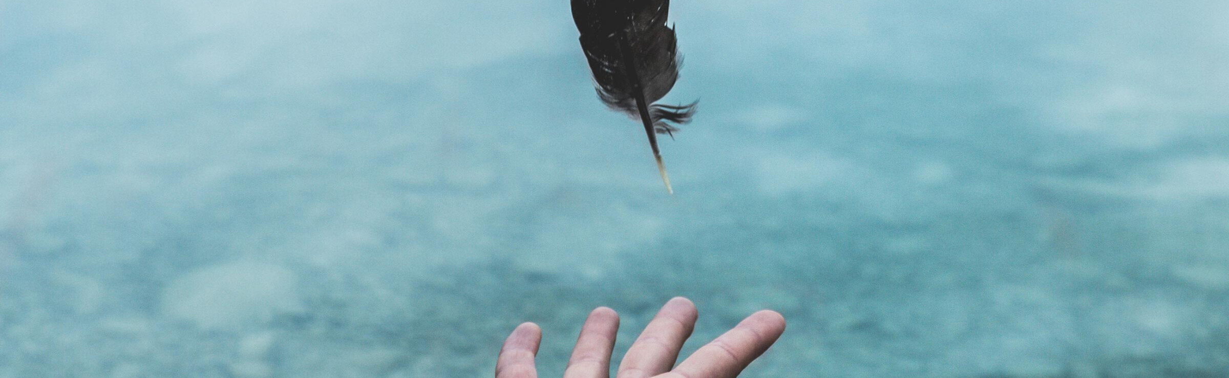 An overview of Thermogravimetric Analysis - SETARAM